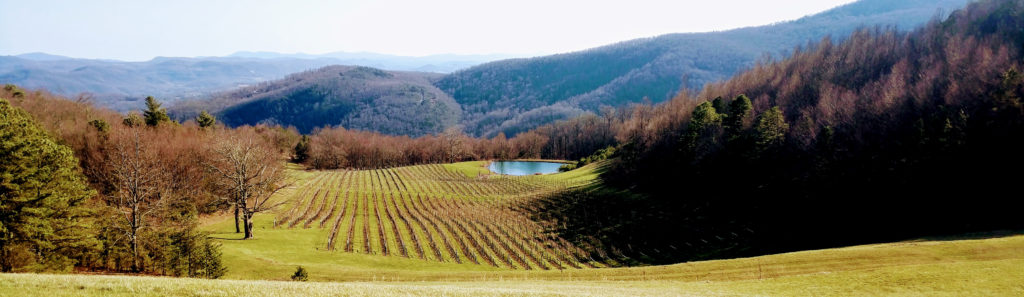 covid-19-farming-and-viticulture-resources-nc-state-extension